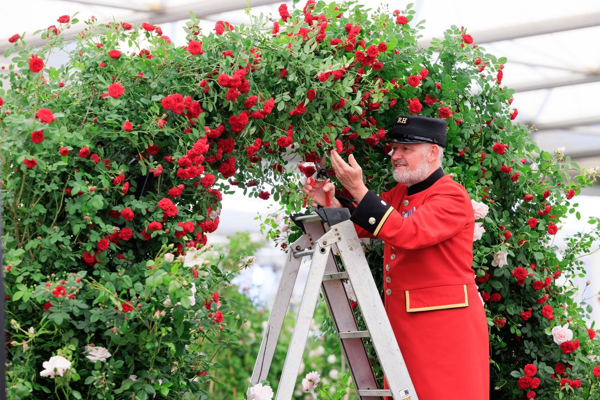 Chelsea Flower Show | Losberger De Boer